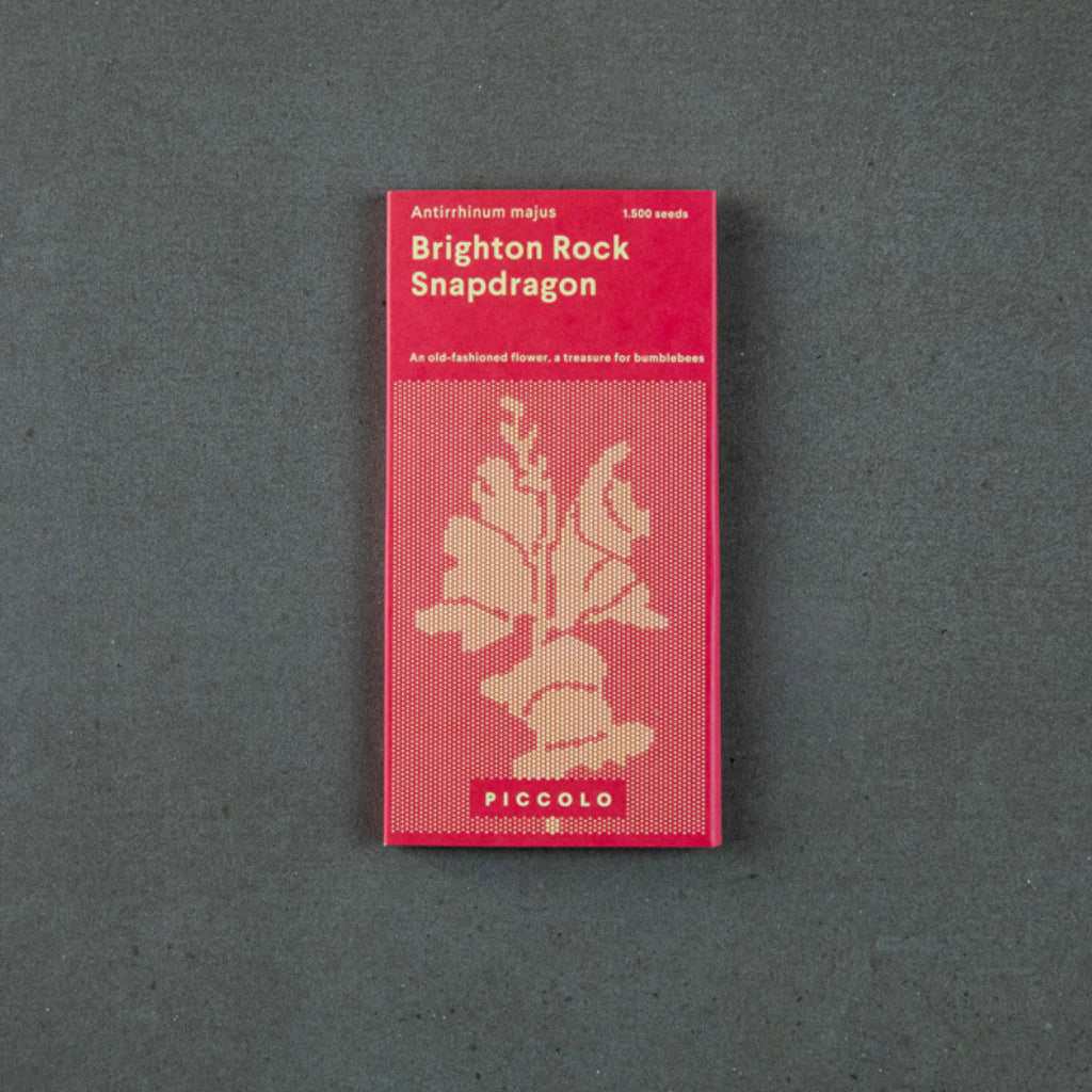 Brighton Rock Snapdragon – Cornercopia Store