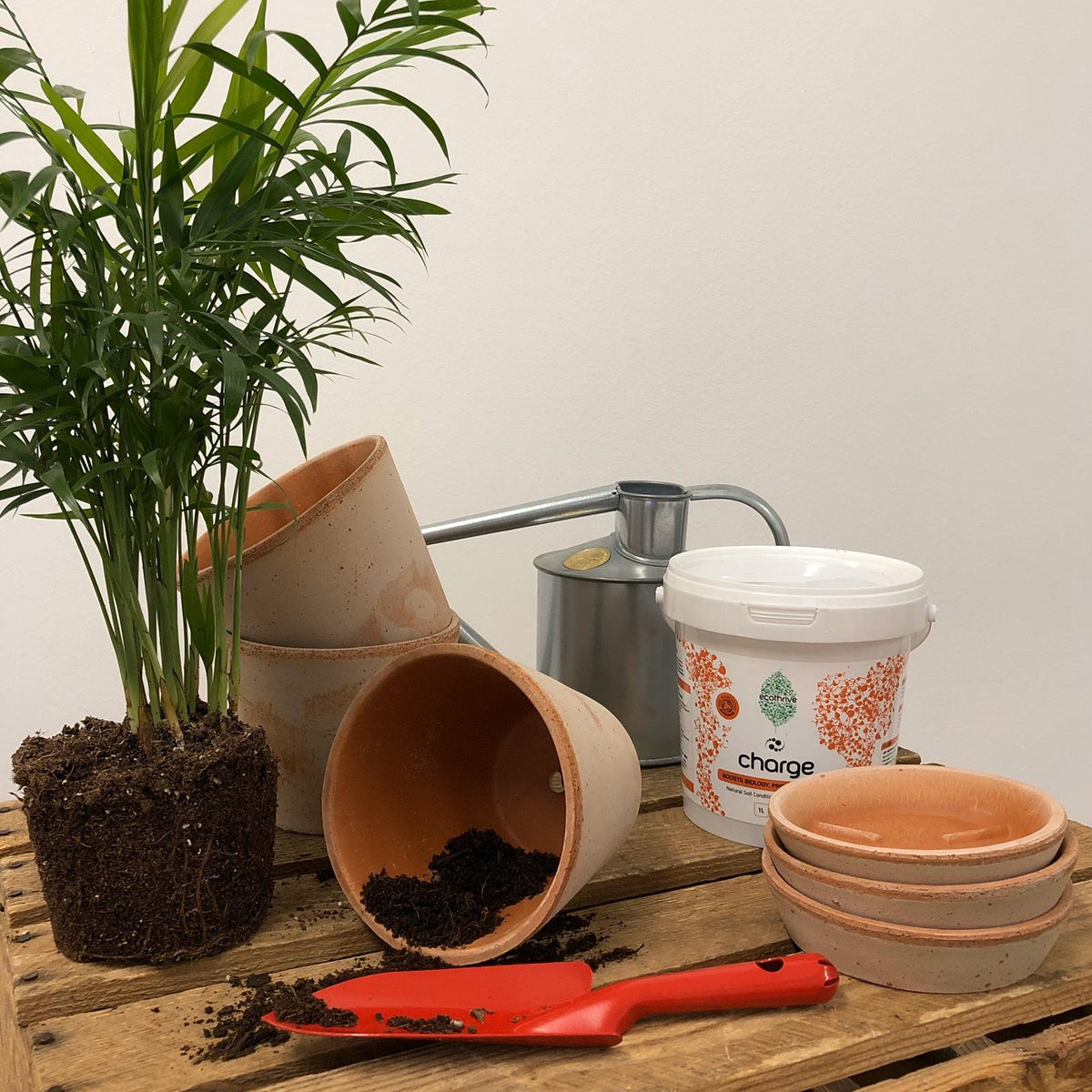 Ecothrive Charge Plant Food Worm Castings - 1 litre – Cornercopia Store